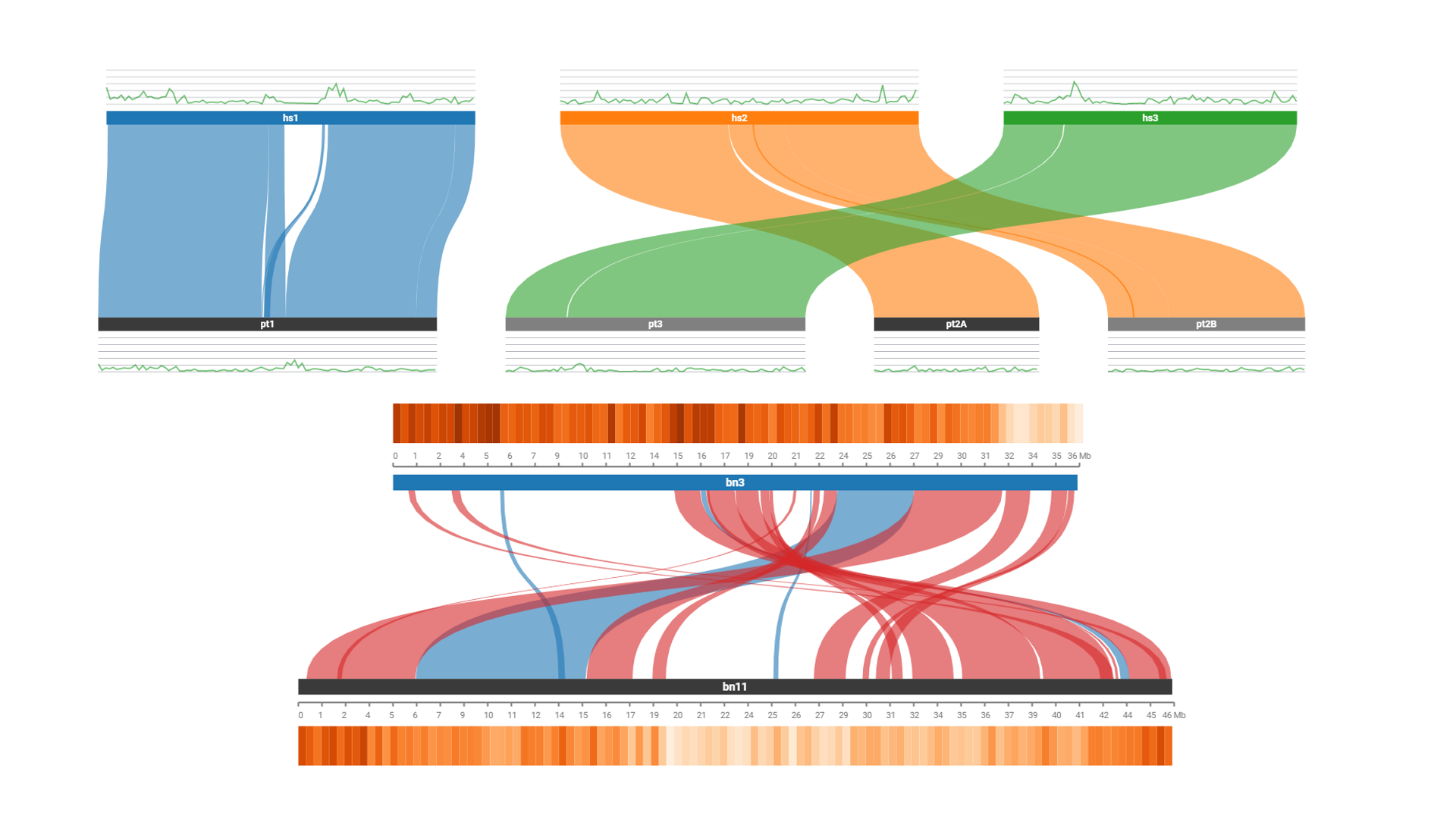 SynVisio : Synteny Browser